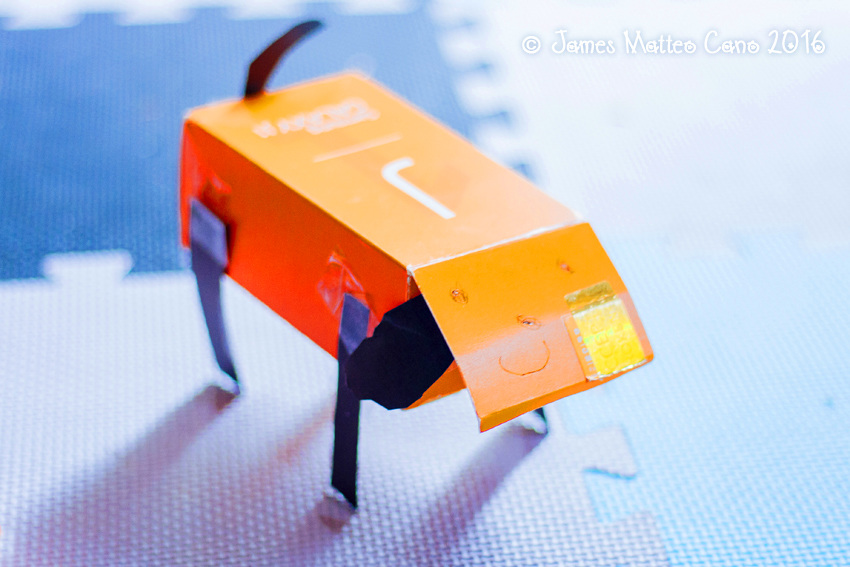 Crafted Box Dog - JamesMatteoCano