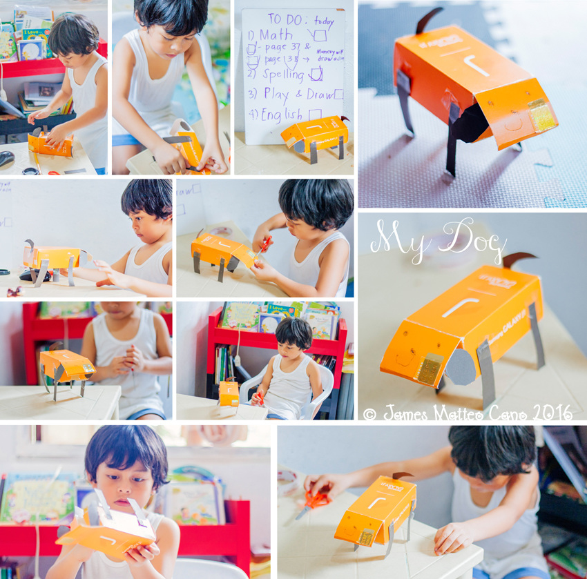 Crafted Box Dog - JamesMatteoCano