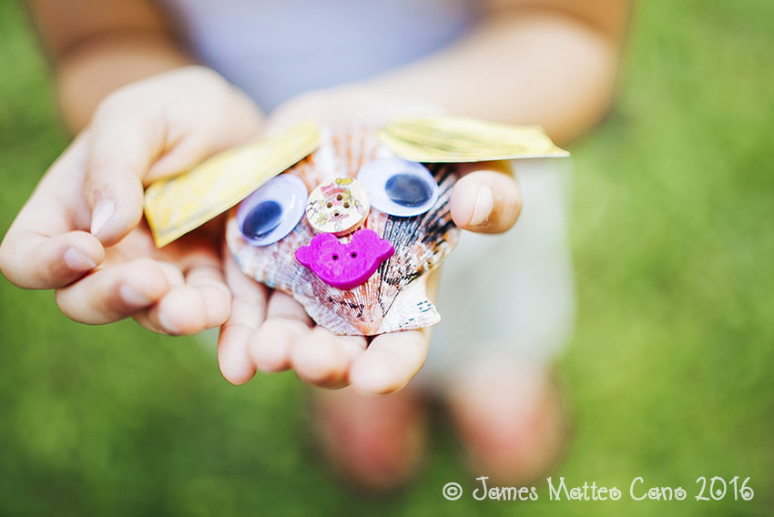 Dog Shell Craft - JamesMatteoCano