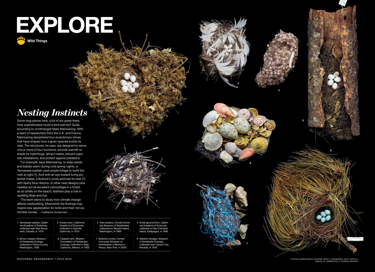 Nesting Instincts - Jenna Fite