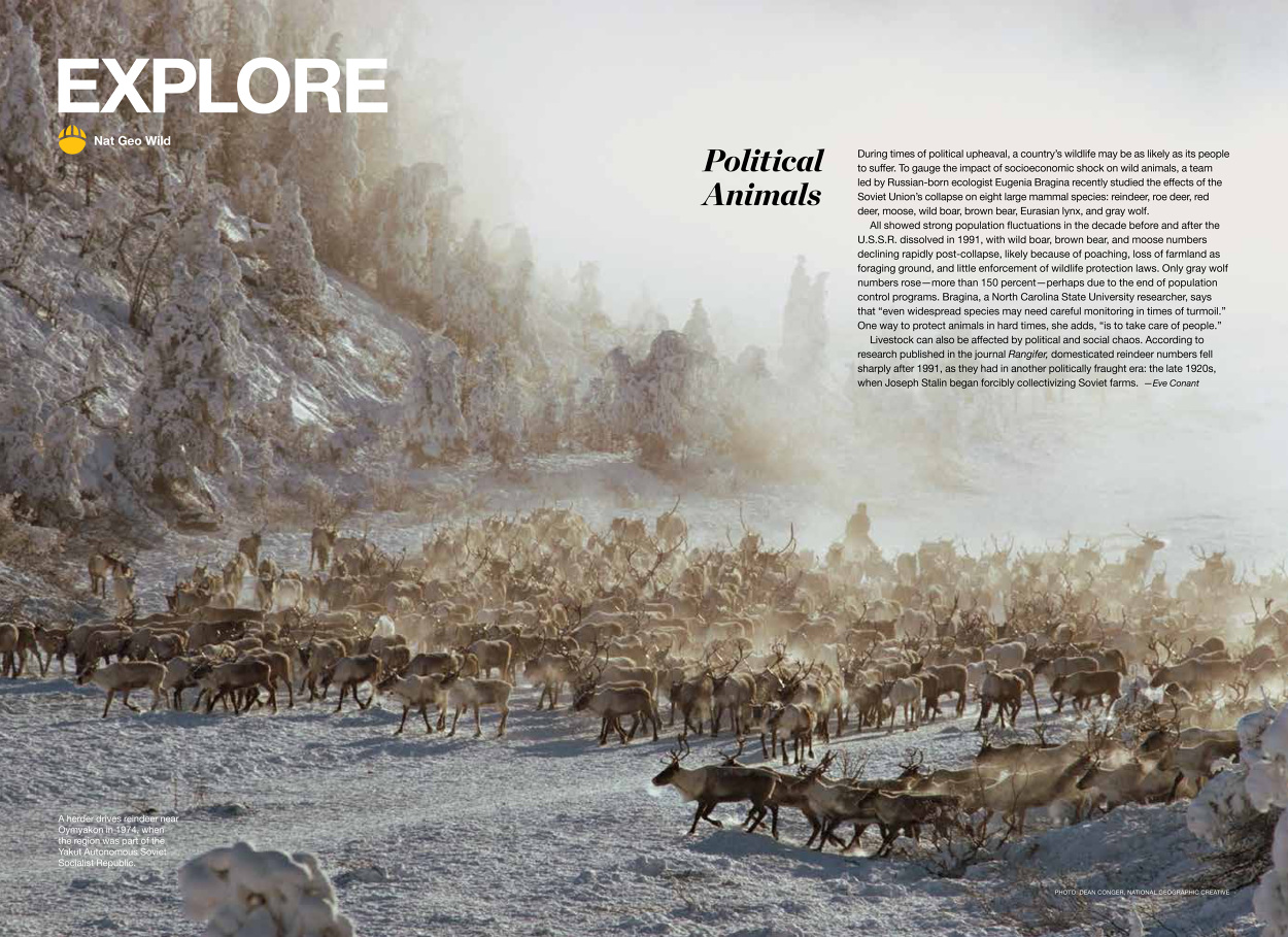 Political Animals - Jenna Fite