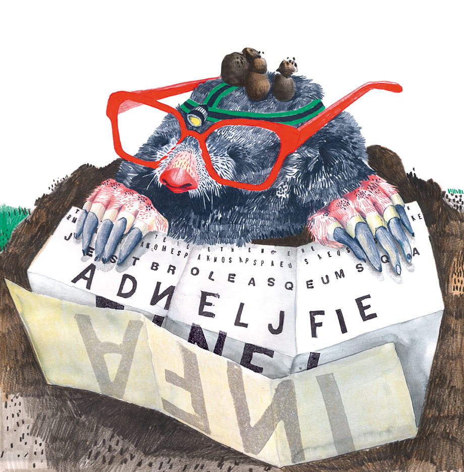 Nature - Audrey Caron illustrations