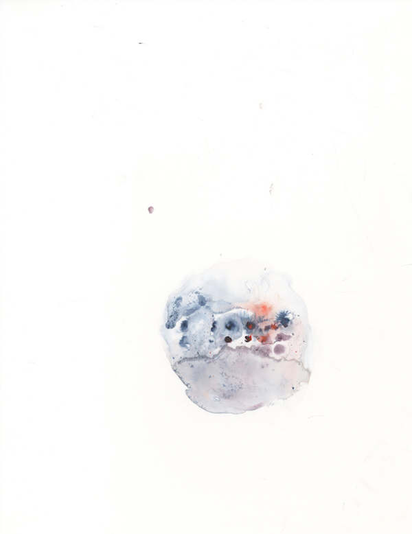 Zeta Centauri - Kelly Schultz