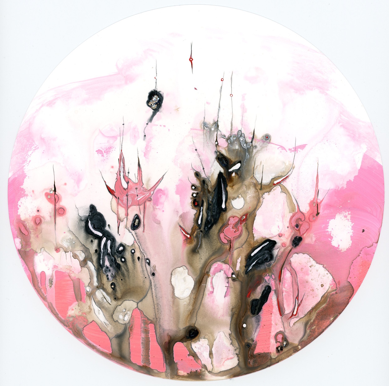 Available Works - Kelly Schultz