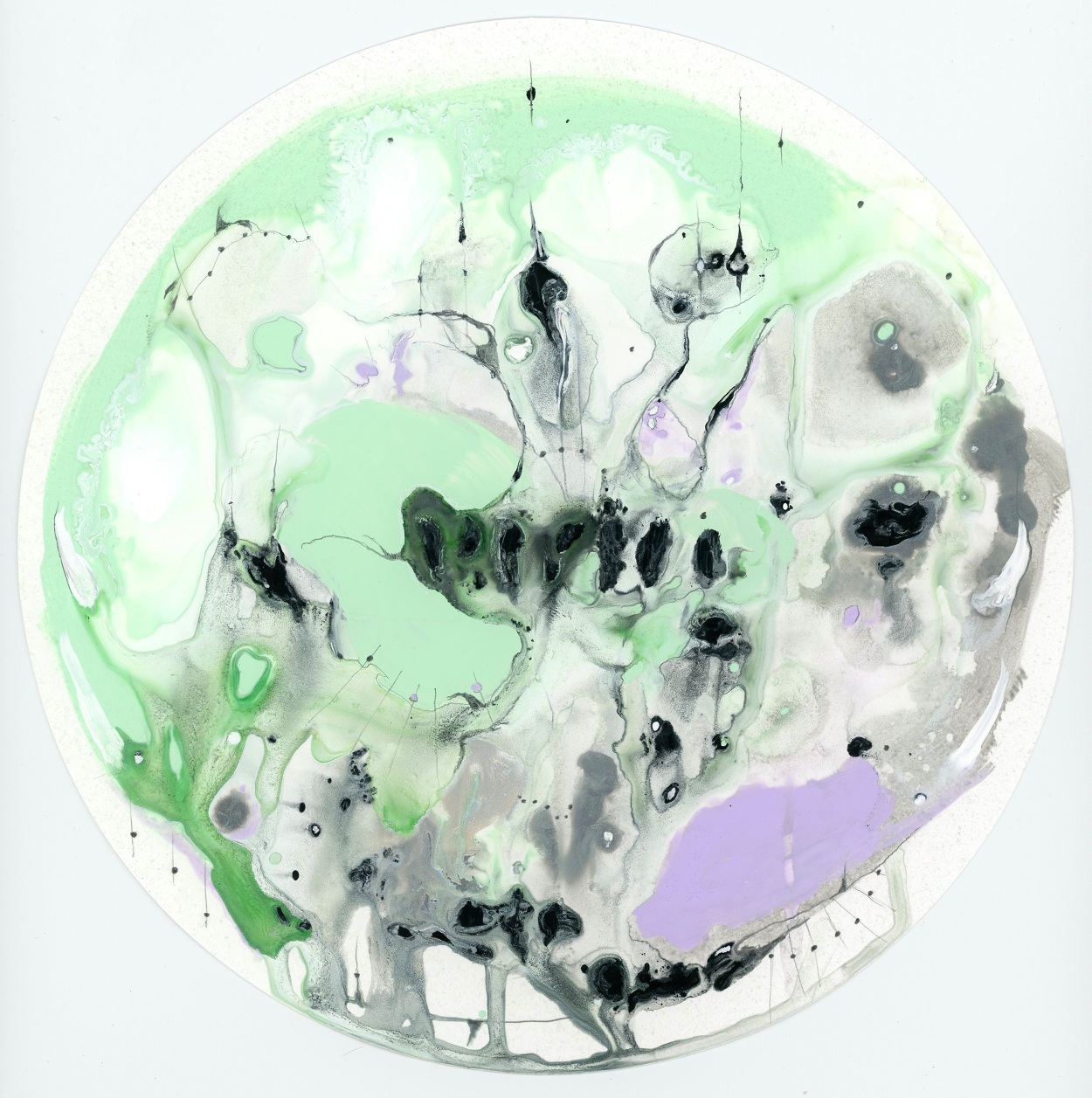 Root - Kelly Schultz