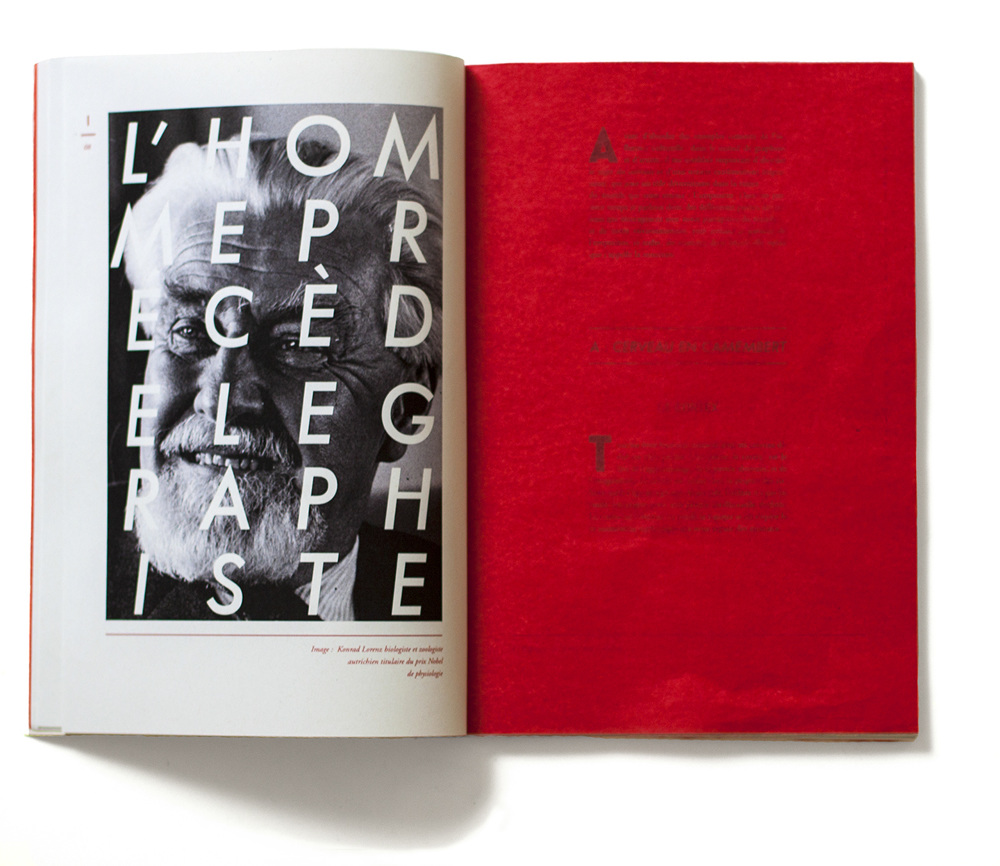 Culture & Graphisme - noehalimi