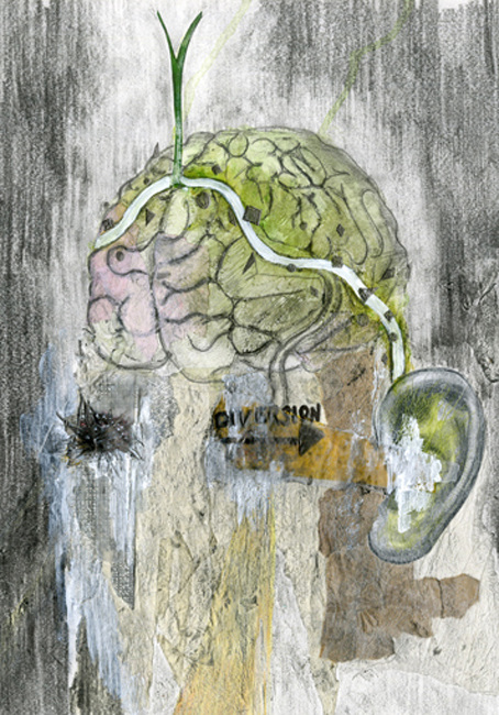 Editorial - Jessica Shepherd Illustration