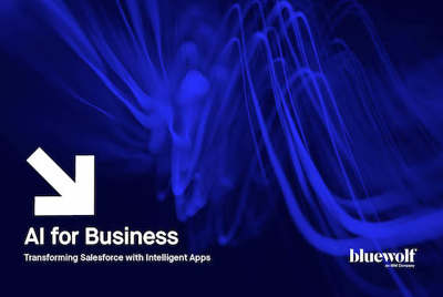 IBM / Bluewolf - MA Design Studio