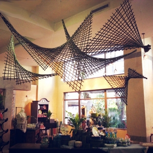 Reed van Bee Display & Visuals