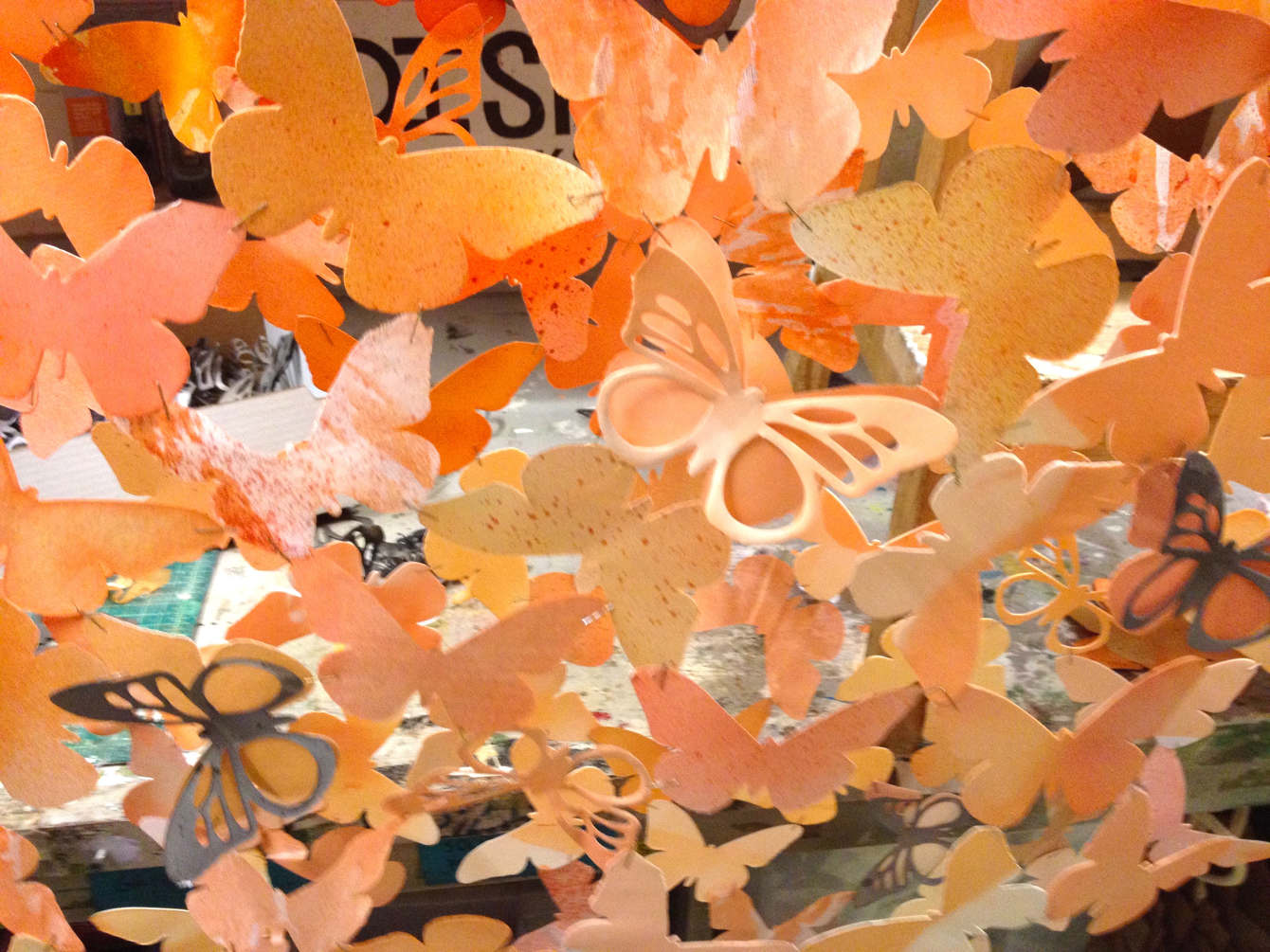 Butterfly Window for Anthropologie - Reed van Bee Display & Visuals
