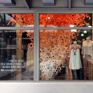 Reed van Bee Display & Visuals