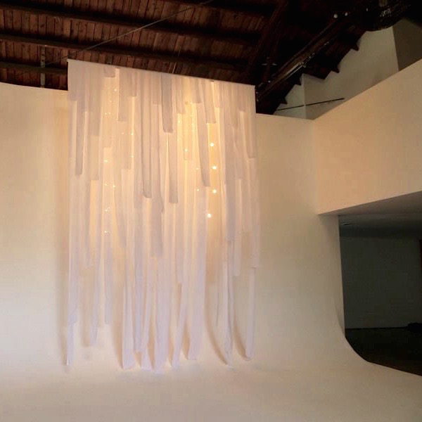 Reed van Bee Display & Visuals