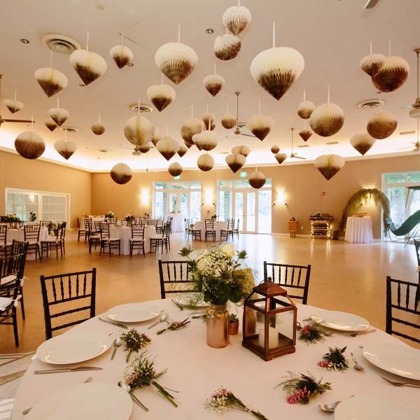 Reed van Bee Display & Visuals