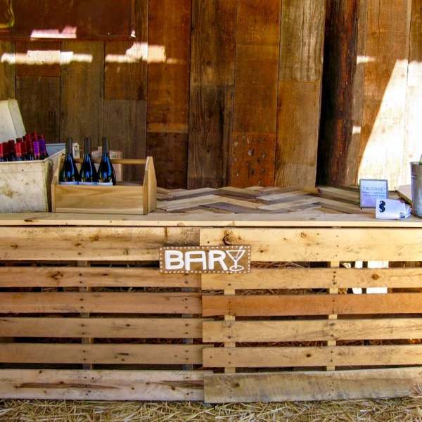 Reed van Bee Display & Visuals