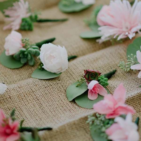 Reed van Bee Display & Visuals