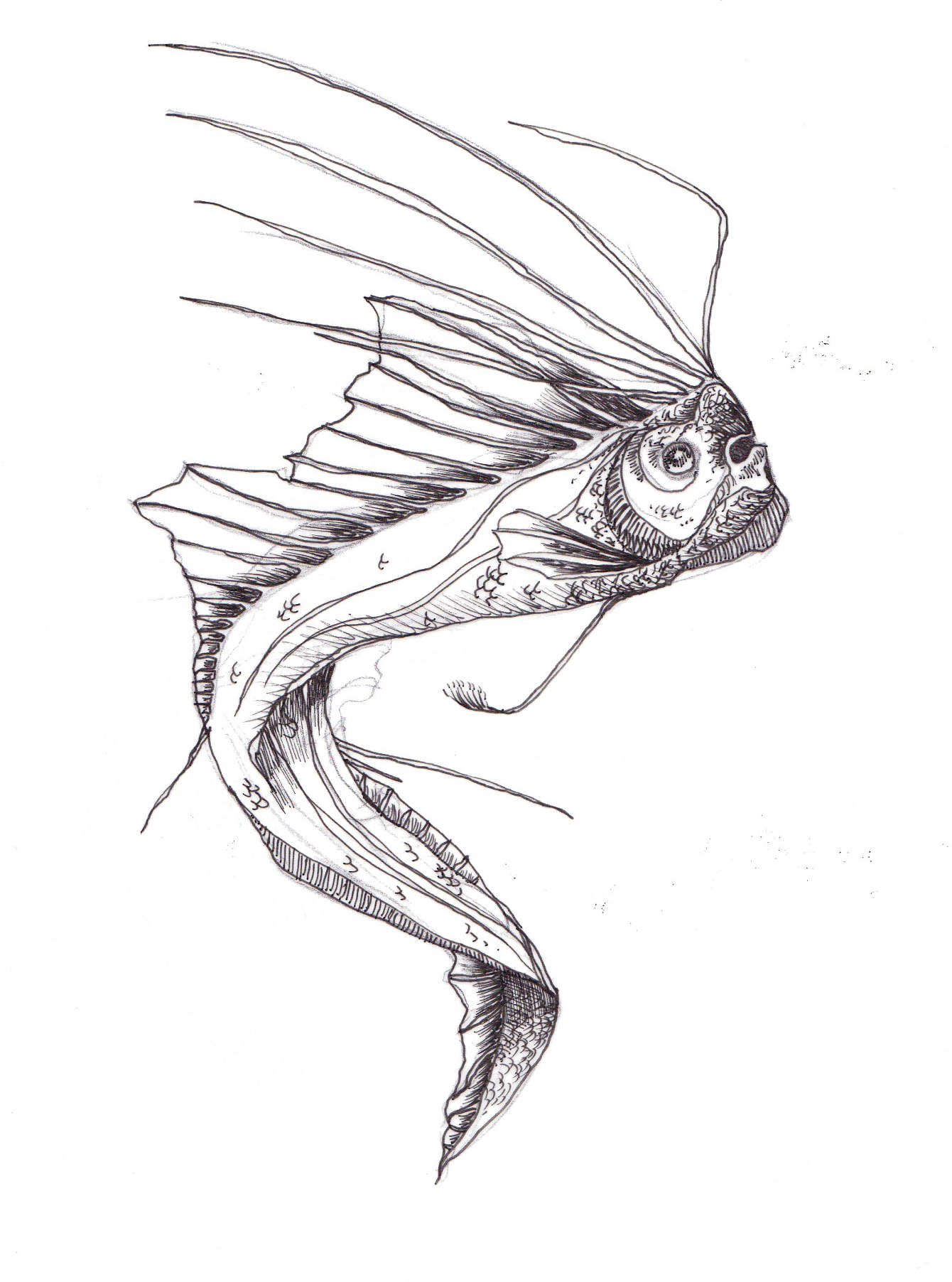 Sketches - Jas Bird Illustrations