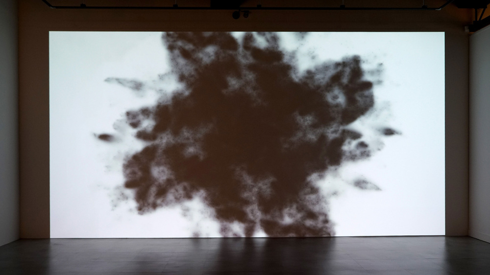 Visual Reinforcement Activity series - Yang, Minha