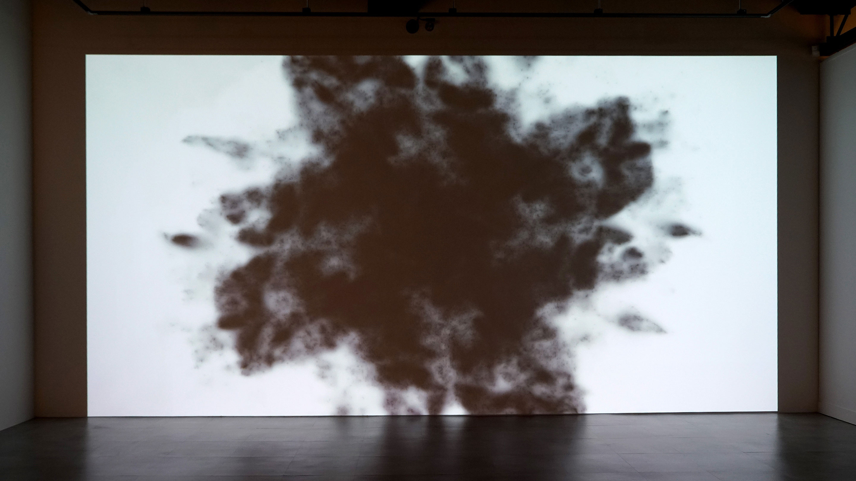 Visual Reinforcement Activity series - Yang, Minha