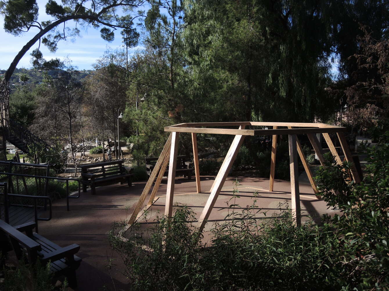 Theater of Birds - viviana palacio