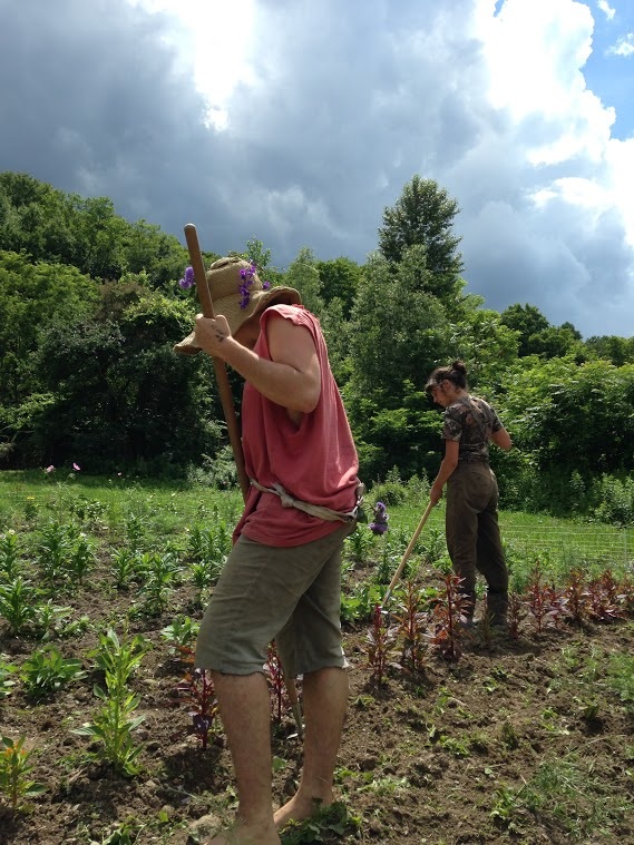 Abode Farm - Mount Lebanon Residency