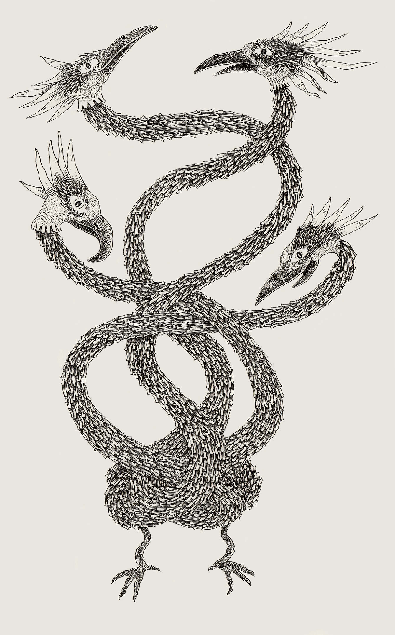 Forgotten Beasts - Forgotten Birds