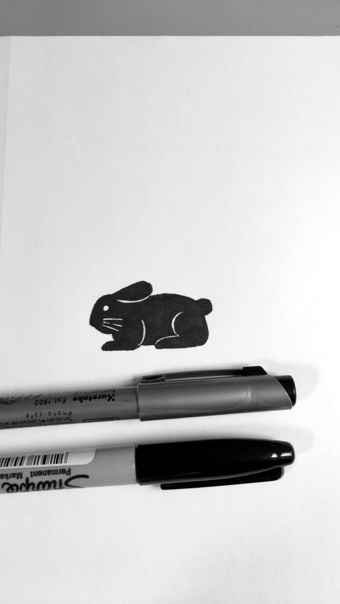 Doodles - Kyler Torres Photo