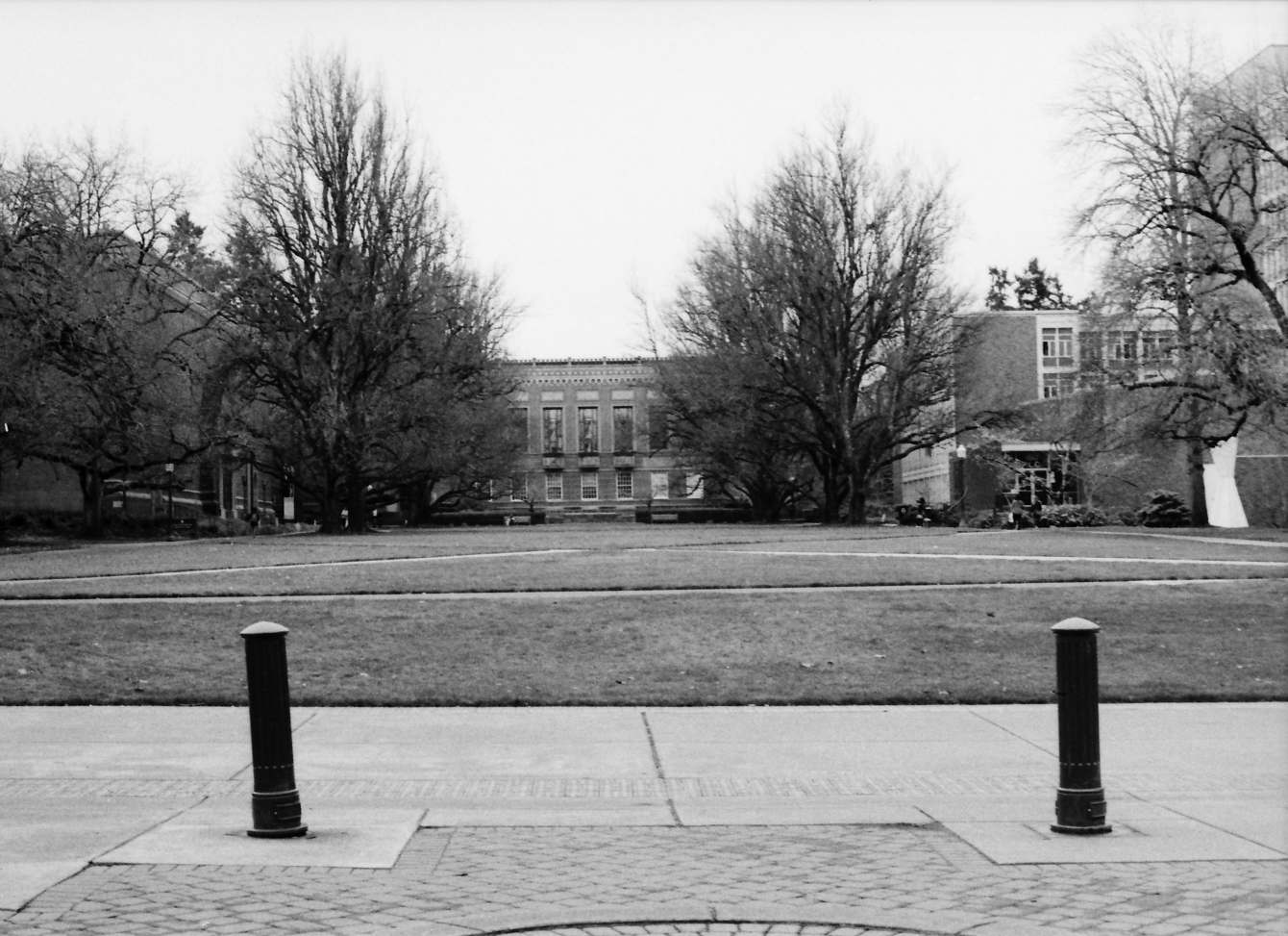 Random Roll - Kyler Torres Photo