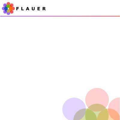Graphic Design - Steven Bouffard Design