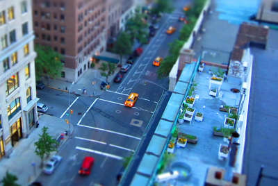 GRID SCENES - Till Design