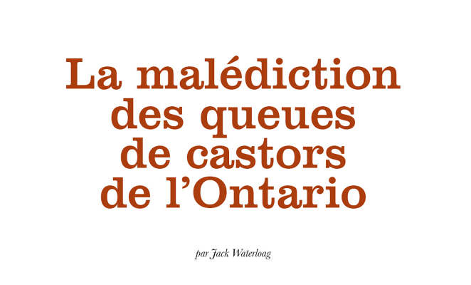les queues de castors de l'Ontario - www.ABr.fr