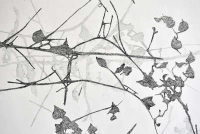 Ejercicios de dibujo / Drawing exercises - Viviana Gonzalez M