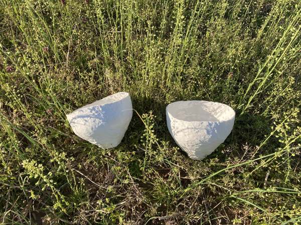 Two ceremonial bowls - Brian Guerin | Jealous Landscape Company