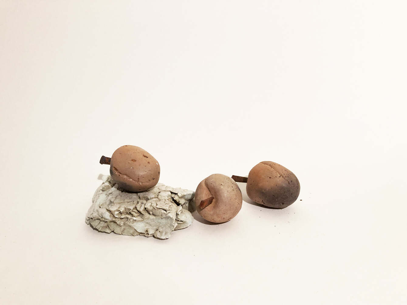 Stonefruit - Brian Guerin | Jealous Landscape Company