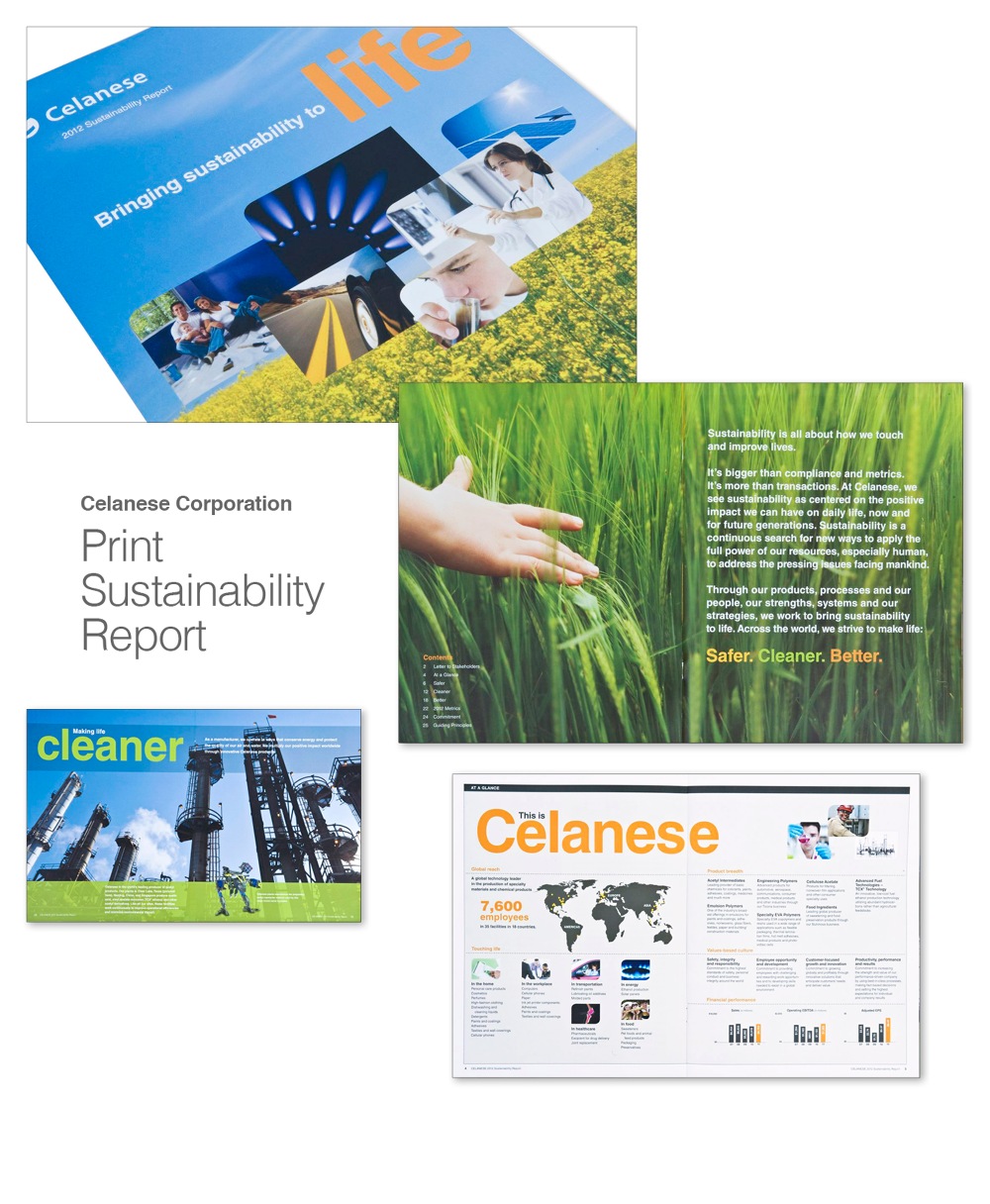 Celanese Corporation - Jim Pitroski Portfolio