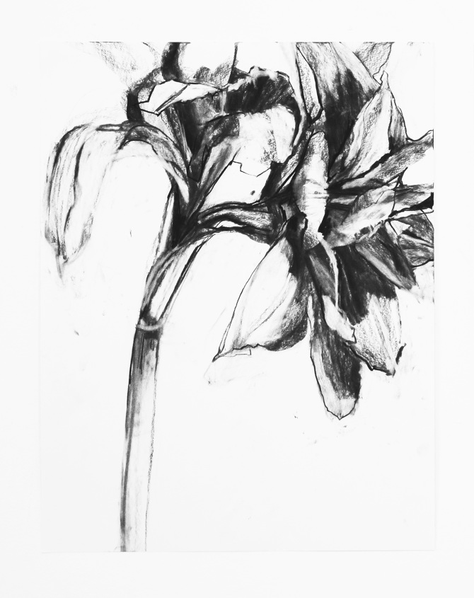 Charcoal - Chloe Briggs