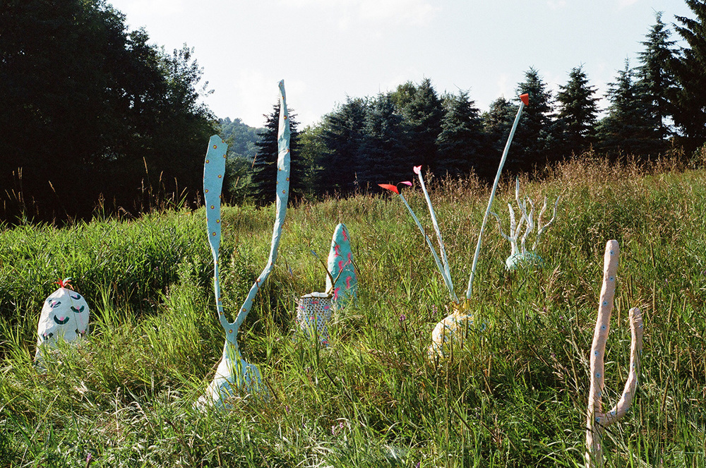 Paper Plants in the Wild - Adam Frezza & Terri Chiao — CHIAOZZA