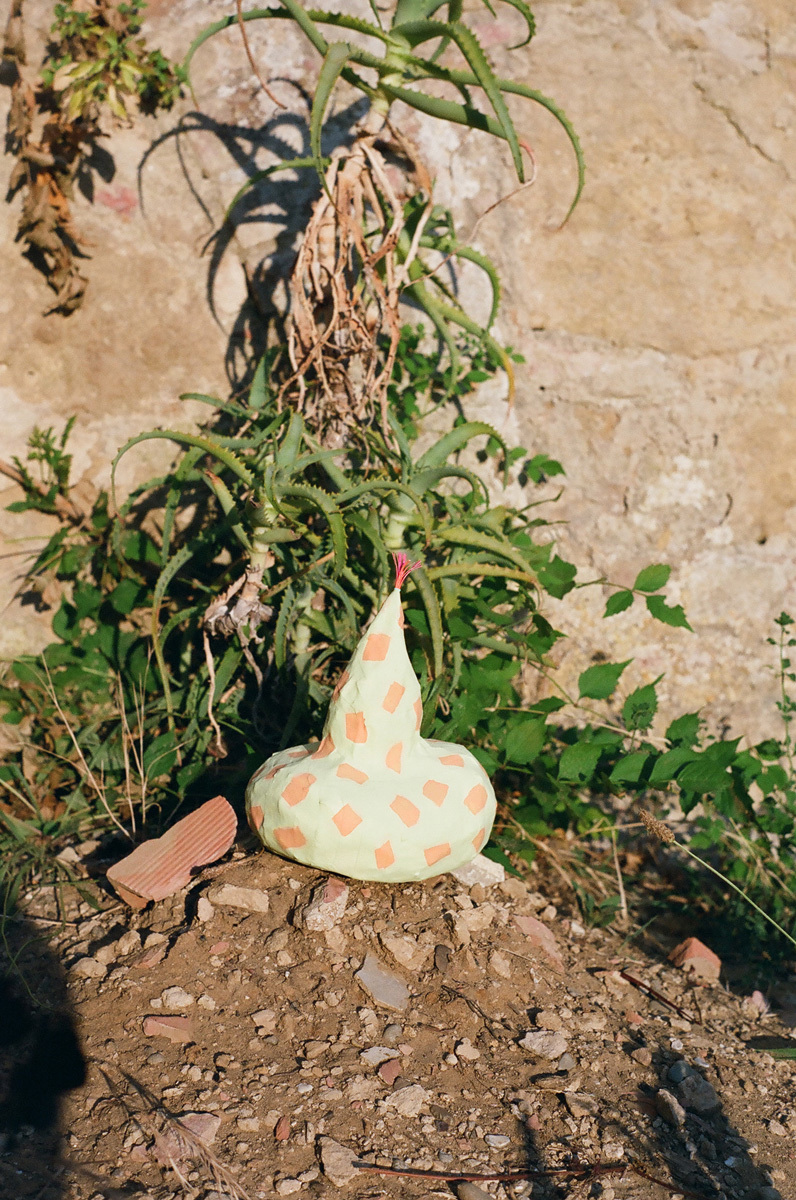 Paper Plants in the Wild - Adam Frezza & Terri Chiao — CHIAOZZA