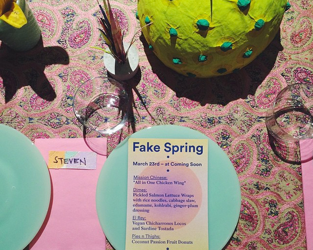 Fake Spring - Adam Frezza & Terri Chiao — CHIAOZZA