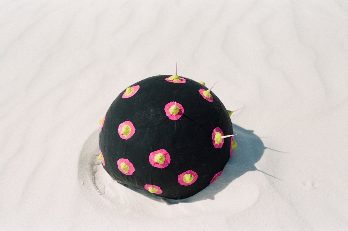 Desert Plants - Adam Frezza & Terri Chiao — CHIAOZZA