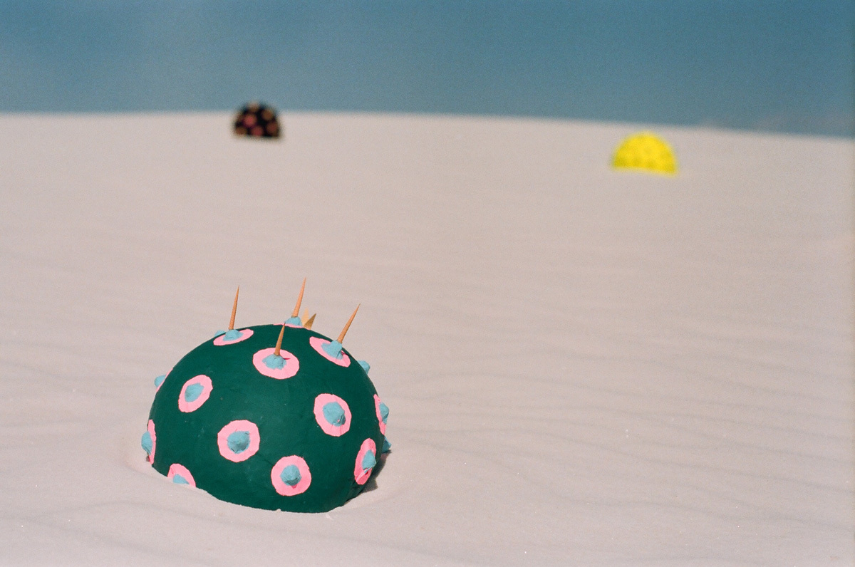 Desert Plants - Adam Frezza & Terri Chiao — CHIAOZZA