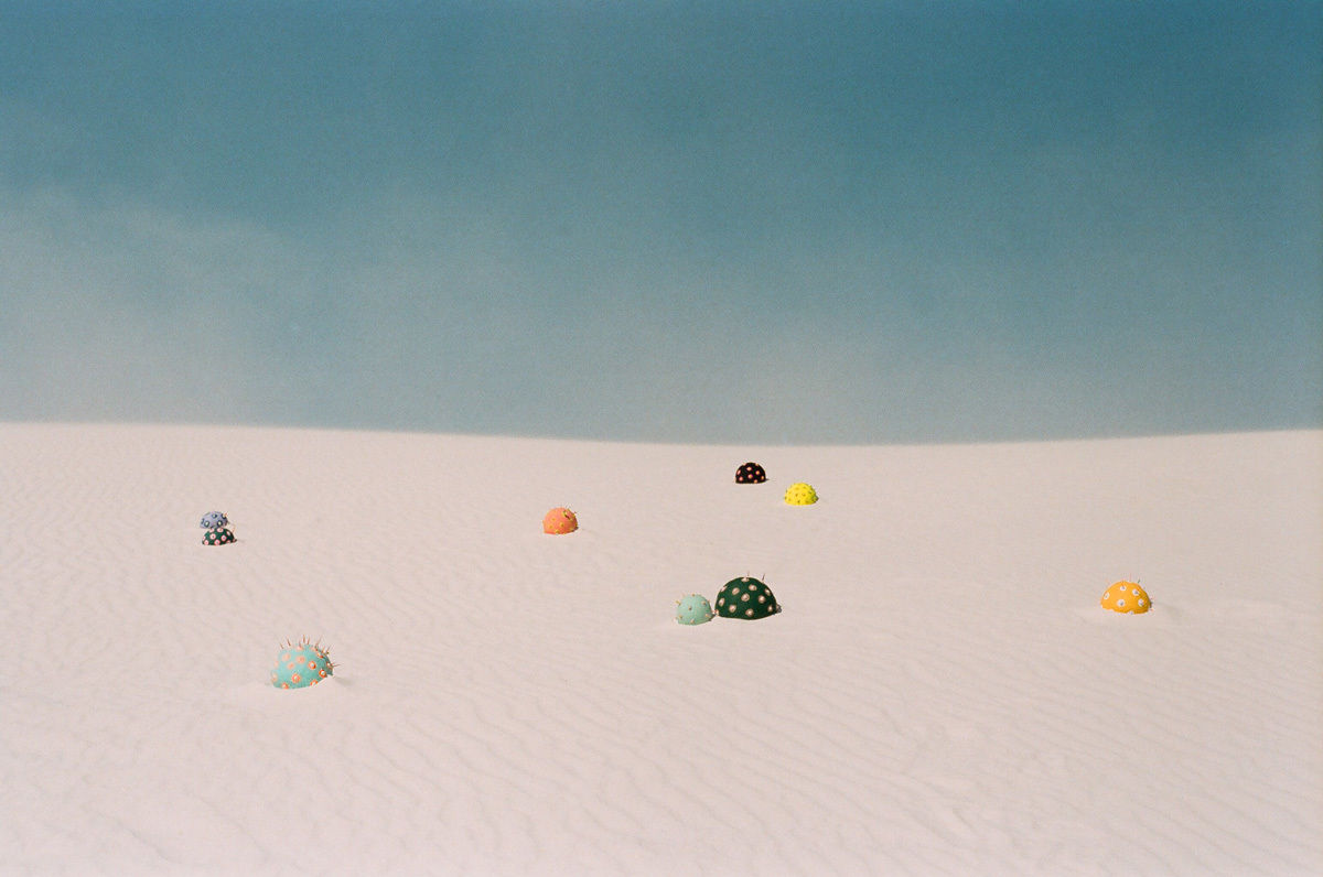 Desert Plants - Adam Frezza & Terri Chiao — CHIAOZZA