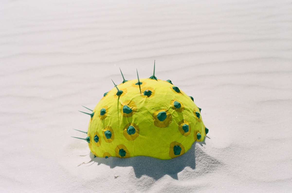 Desert Plants - Adam Frezza & Terri Chiao — CHIAOZZA