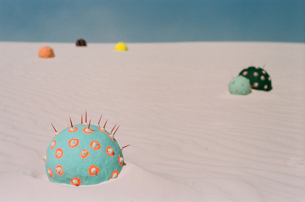 Desert Plants - Adam Frezza & Terri Chiao — CHIAOZZA