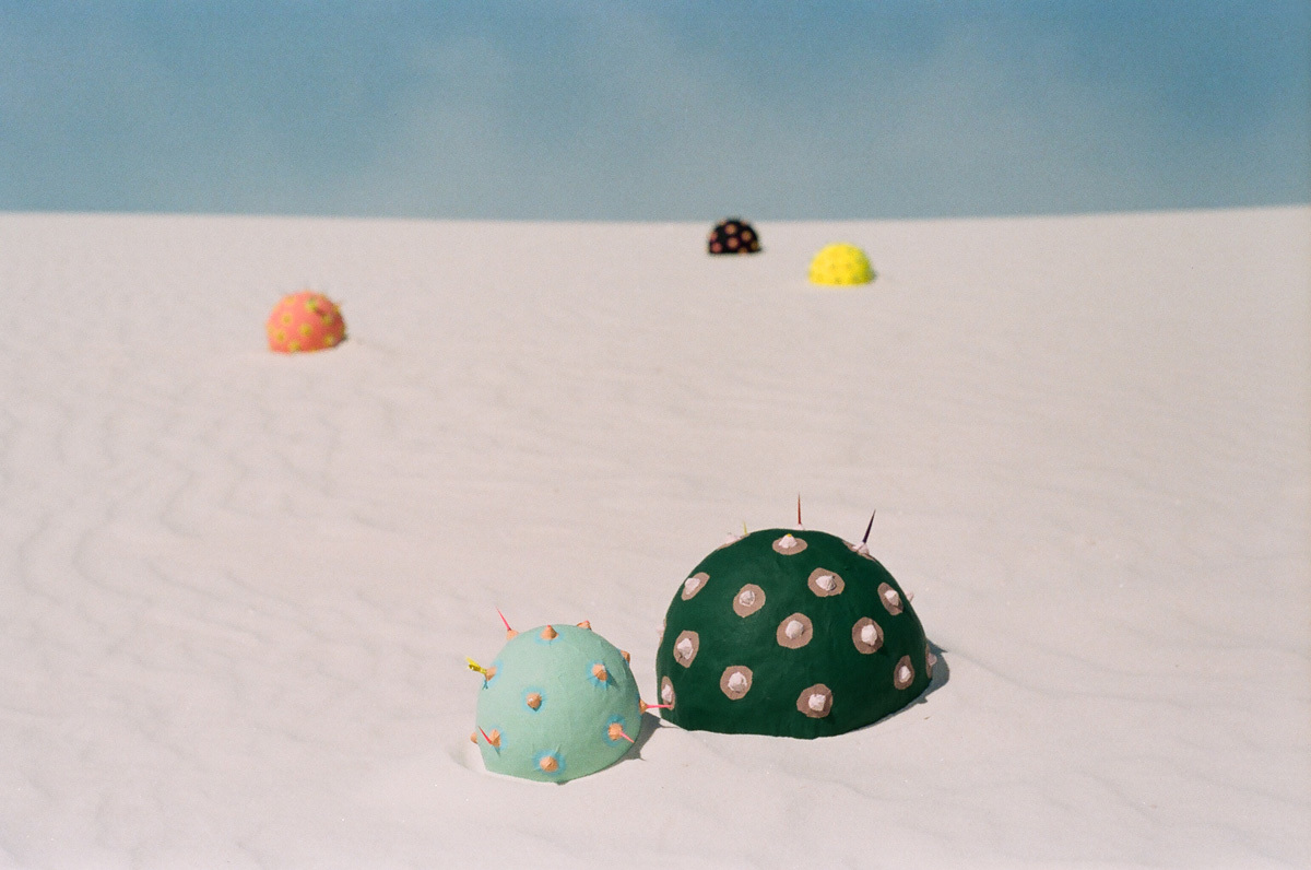 Desert Plants - Adam Frezza & Terri Chiao — CHIAOZZA