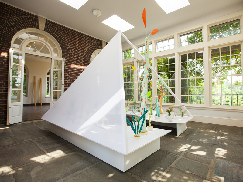 A Controlled Wild - Adam Frezza & Terri Chiao — CHIAOZZA