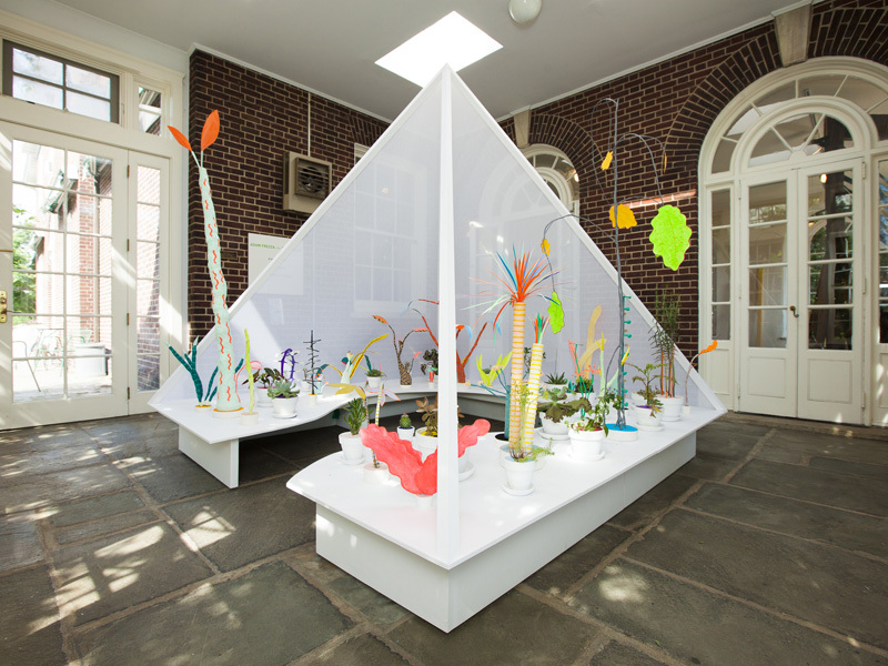 A Controlled Wild - Adam Frezza & Terri Chiao — CHIAOZZA