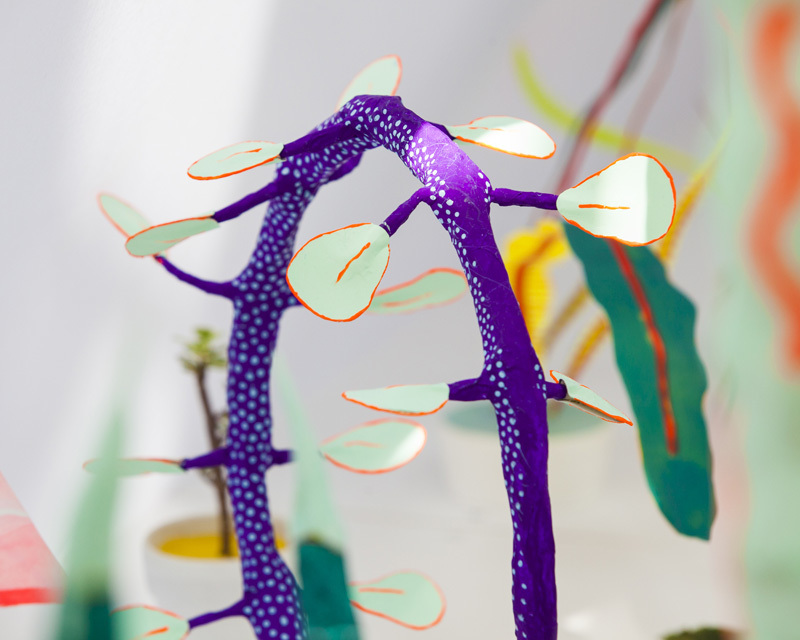 A Controlled Wild - Adam Frezza & Terri Chiao — CHIAOZZA