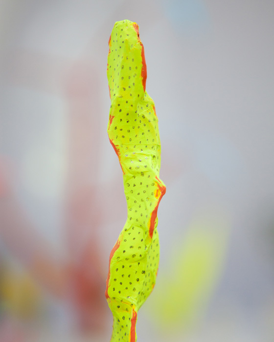 A Controlled Wild - Adam Frezza & Terri Chiao — CHIAOZZA