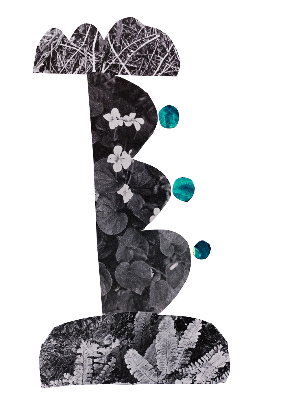 Exquisite Plant Collages, Series 5 - Adam Frezza & Terri Chiao — CHIAOZZA
