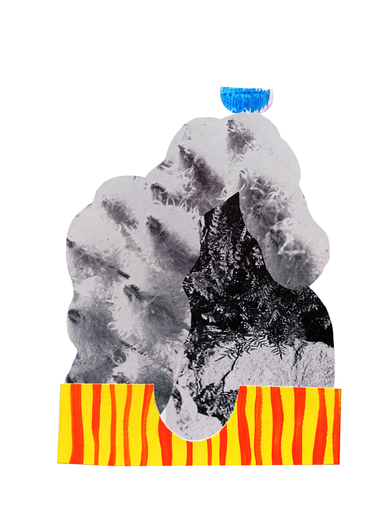 Exquisite Plant Collages, Series 5 - Adam Frezza & Terri Chiao — CHIAOZZA
